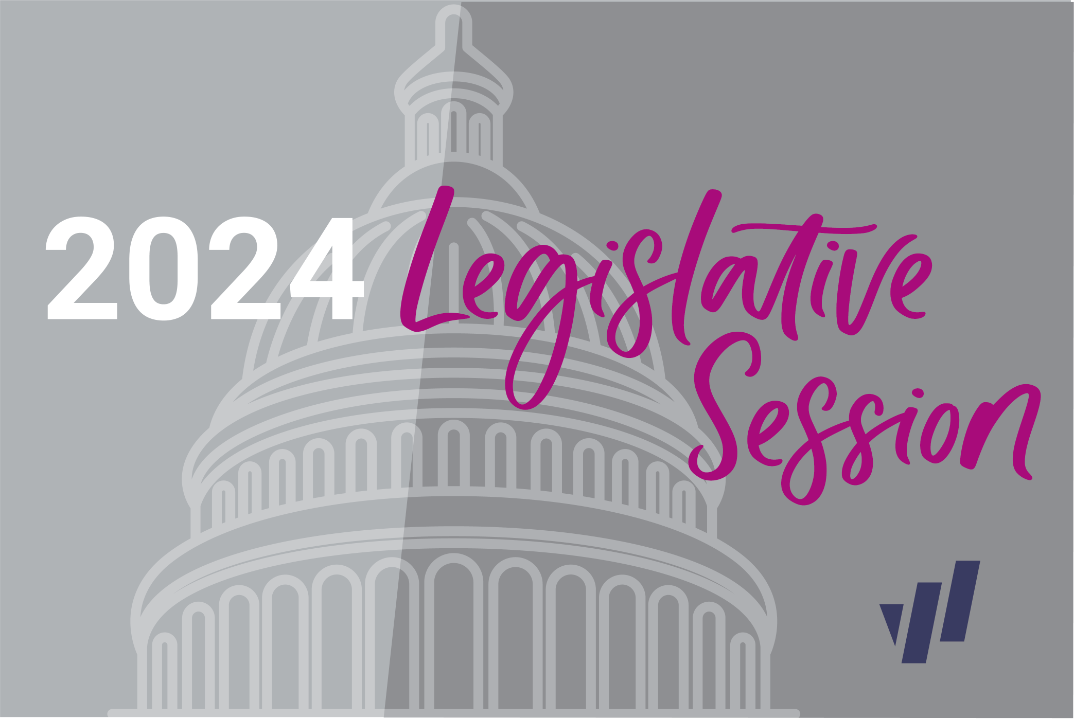 A Sneak Peek at the 2024 Legislative Session